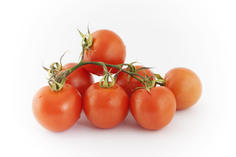 Comprar tomate de rama en Burgos. Tienda online