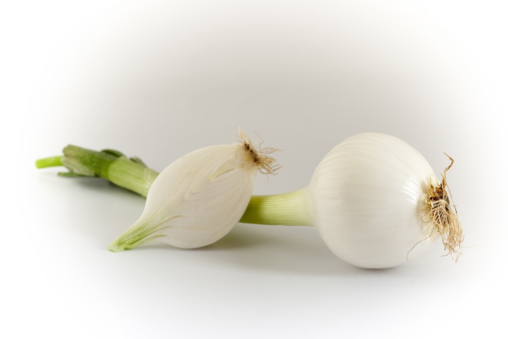 Comprar cebolleta fresca en Burgos. Tienda online
