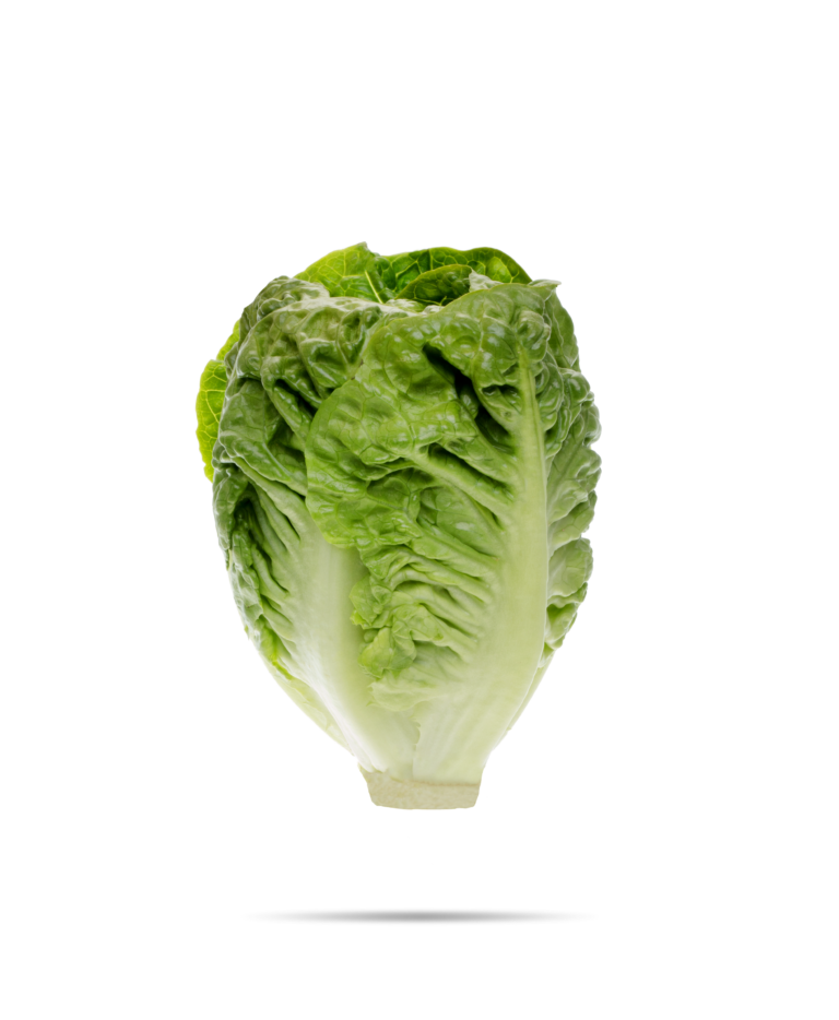 Comprar cogollos bandeja en Burgos. Tienda online